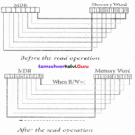 Samacheer Kalvi 11th Computer Science Solutions Chapter 3 Computer ...