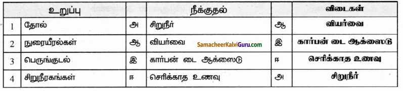 Samacheer Kalvi 9th Science Guide Chapter 20 விலங்குகளின் உறுப்பு ...