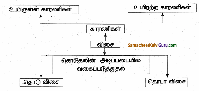 Samacheer Kalvi 6th Science Guide Term 1 Chapter 2 விசையும் இயக்கமும் ...