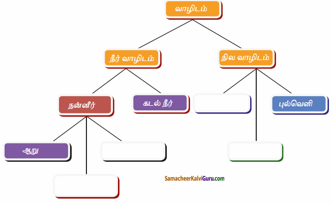Samacheer Kalvi 6th Science Guide Term 1 Chapter 4 தாவரங்கள் வாழும் ...