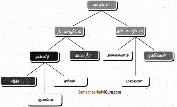 Samacheer Kalvi 6th Science Guide Term 1 Chapter 4 தாவரங்கள் வாழும் ...