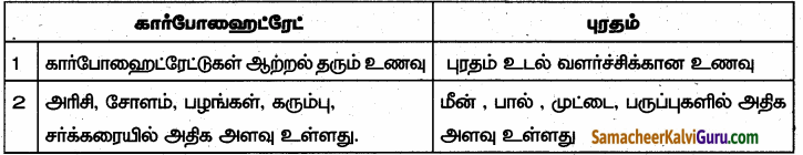 Samacheer Kalvi 6th Science Guide Term 1 Chapter 6 உடல் நலமும் ...