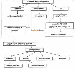 Samacheer Kalvi 6th Science Guide Term 1 Chapter 6 உடல் நலமும் ...