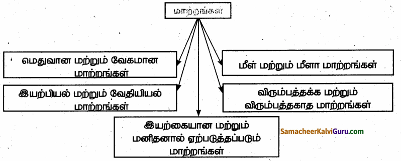 Samacheer Kalvi 6th Science Guide Term 2 Chapter 3 நம்மைச் சுற்றி ...