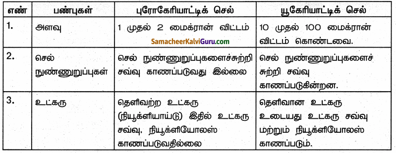 Samacheer Kalvi 6th Science Guide Term 2 Chapter 5 செல் – Samacheer ...