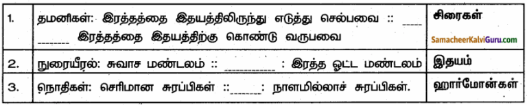 Samacheer Kalvi 6th Science Guide Term 2 Chapter 6 மனித உறுப்பு ...