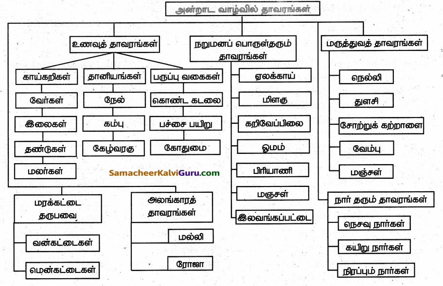 Samacheer Kalvi 6th Science Guide Term 3 Chapter 5 அன்றாட வாழ்வில் ...