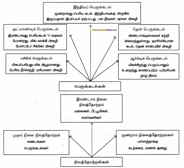 Samacheer Kalvi 6th Social Science Guide Term 1 Geography Chapter 2 ...