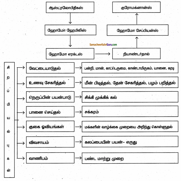 Samacheer Kalvi 6th Social Science Guide Term 1 History Chapter 2 ...