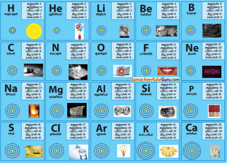 Samacheer Kalvi 7th Science Guide Term 1 Chapter 4 