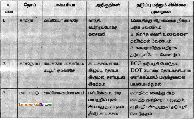 Samacheer Kalvi 7th Science Guide Term 1 Chapter 6 samacheer-kalvi-7th-science-guide-term-1-chapter-6