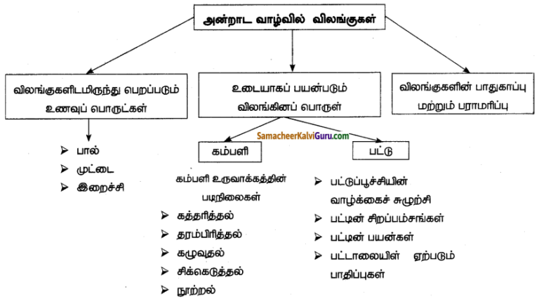 Samacheer Kalvi 7th Science Guide Term 3 Chapter 5 samacheer-kalvi-7th-science-guide-term-3-chapter-5